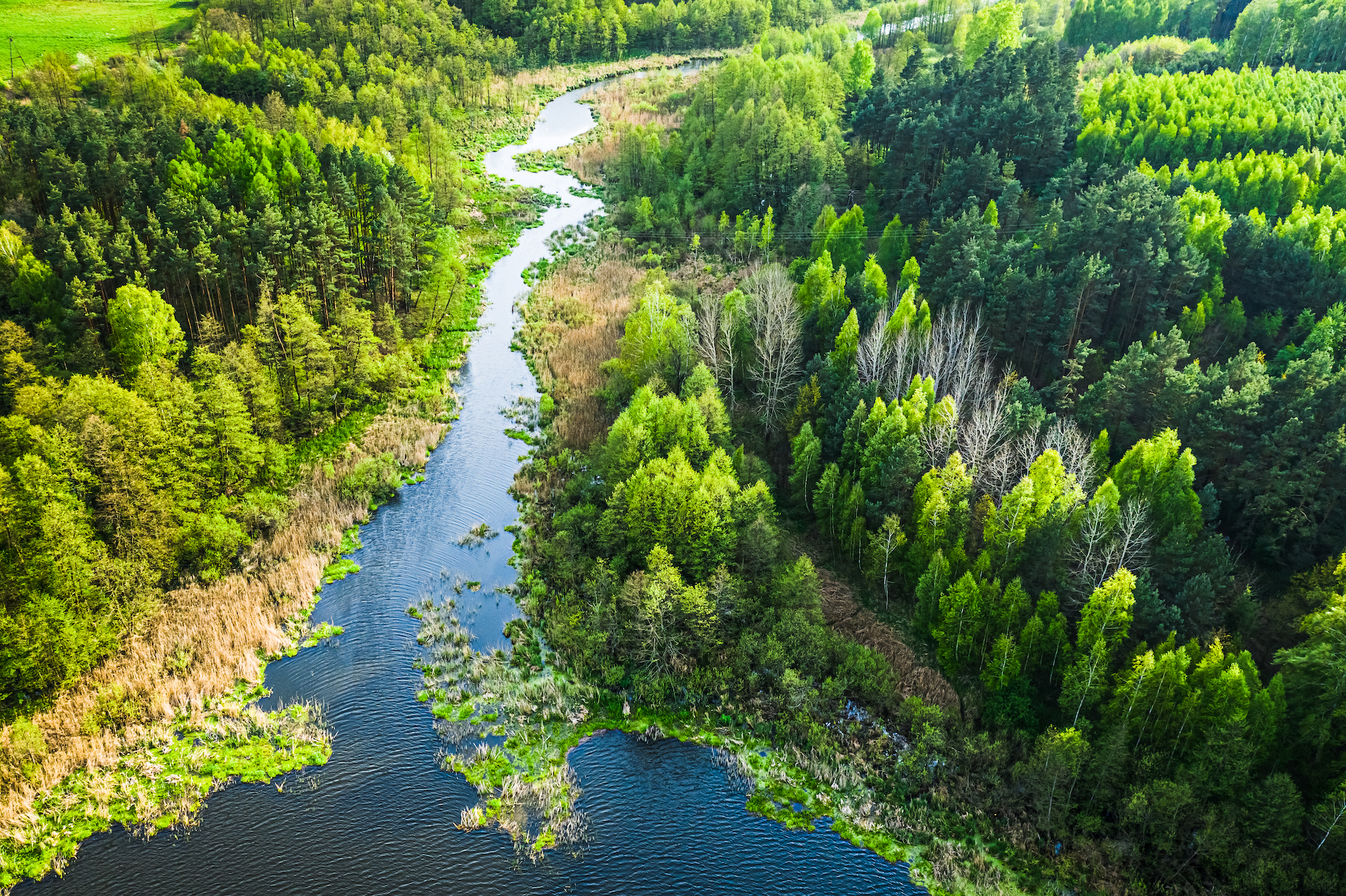 Kontakt und Support | Alperia